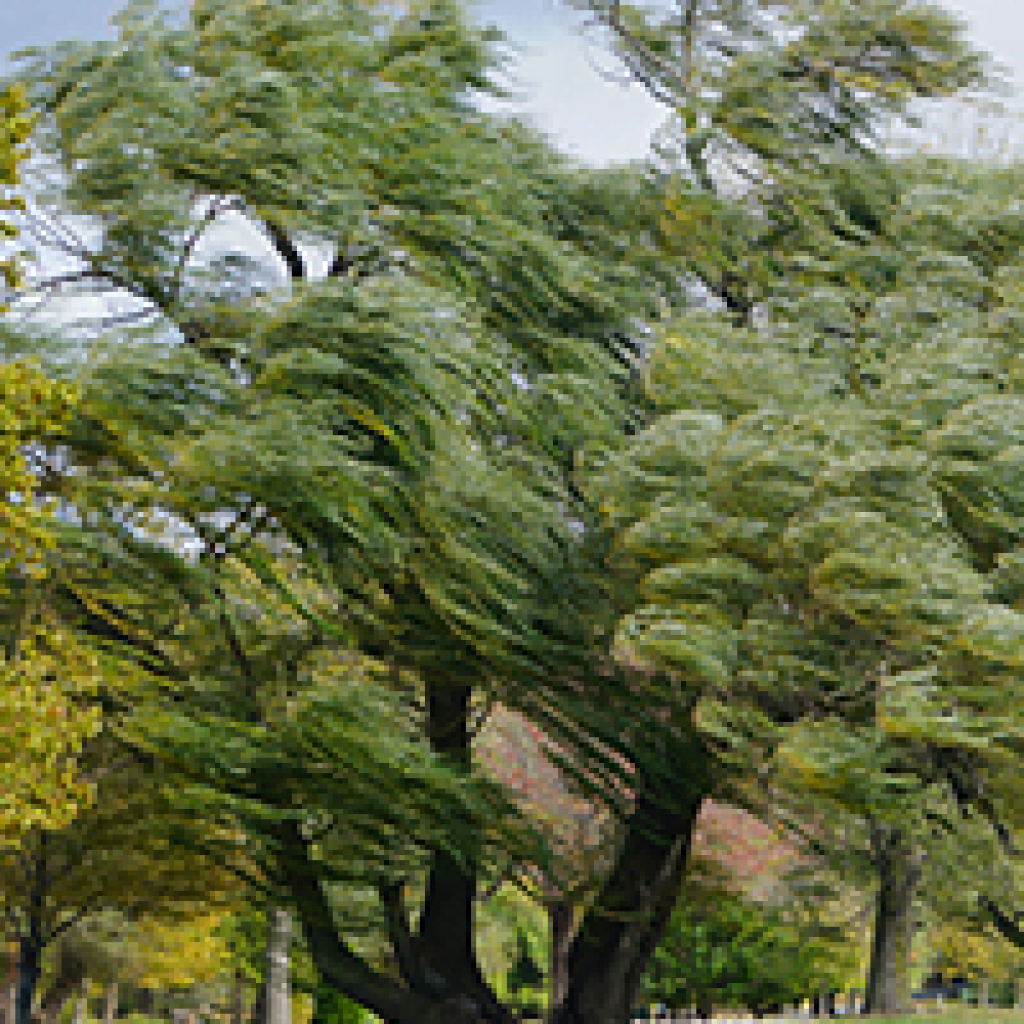 Built to Perform - Diamond Kote® Siding System